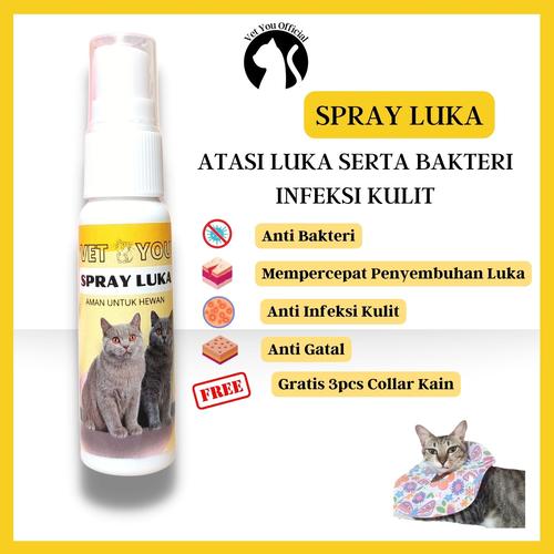 Jual Spray Luka Kucing - Obat Semprot Luka Cakaran Koreng Borok Luka ...