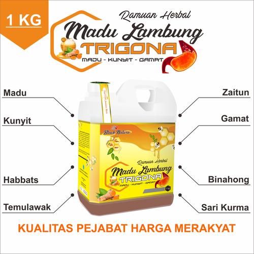 Jual Madu Lambung Trigona 1kg Obat Maagh, Gerd, Asam Lambung - 500 gram ...