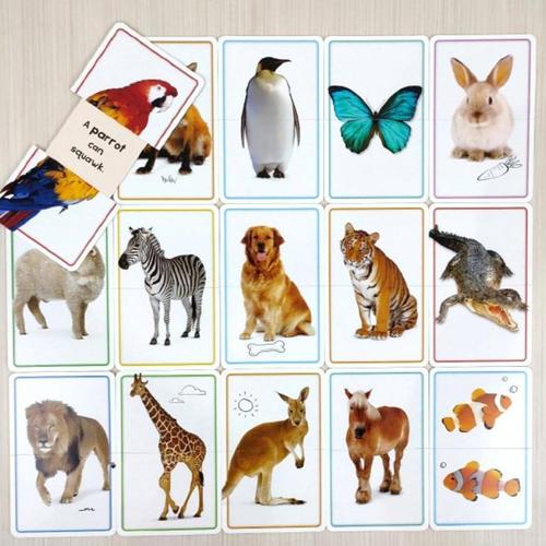 Jual Slide & Learn Flash Cards ANIMALS - Kota Malang - Yakuzar | Tokopedia