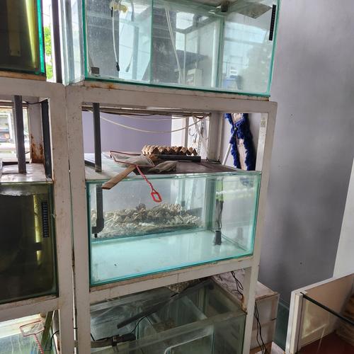 Jual aquarium full set plus rak besi 3 tingkat tank 80x40x40 dan sump ...