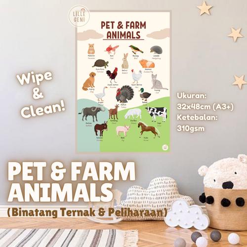 Jual PET&FARM ANIMALS (Hewan Peliharaan Ternak) Poster Premium Edukasi ...