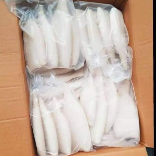 Jual cumi tube 1kg frozen - Jakarta Timur - Fresh Jaktim | Tokopedia