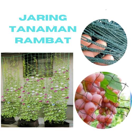 Jual 1 METER JARING TANAMAN RAMBAT TALI TERALIS NET RAMBATAN CLIMBING ...