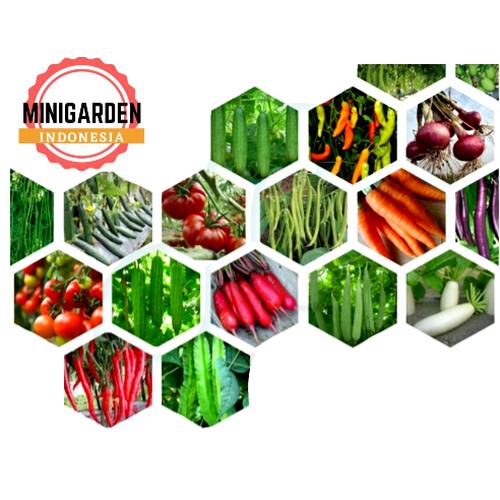 Jual BIBIT SAYURAN SERIBUAN benih sayur tanaman hidroponik kangkung ...