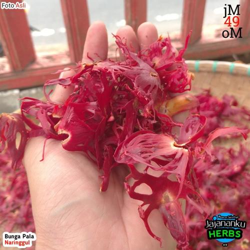 Jual 100gr Bunga Pala Kering Sempra Puli Mace Whole Kembang Pala Fuli ...