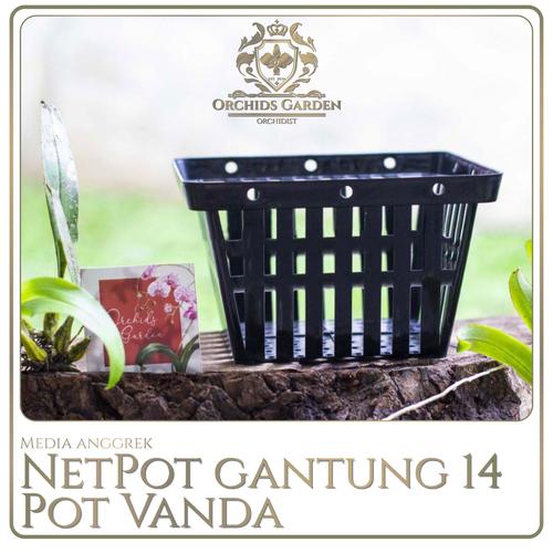 Jual Pot Anggrek Vanda Besar 14 cm Kotak Pot Bunga Persegi Besar NetPot ...