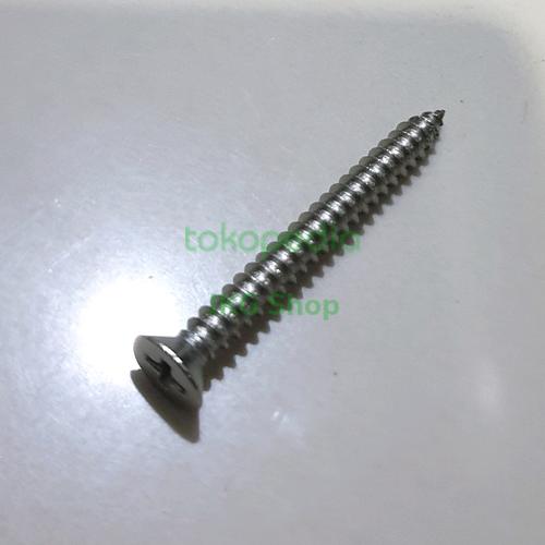 Jual Skrup sekrup tapping screw stainless SUS 304 FH 8 x 1 1/2 kepala ...