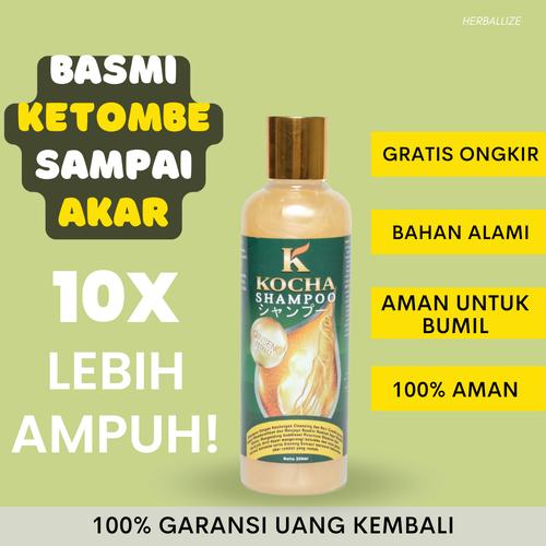 Jual Obat shampoo anti ketombe parah dan rambut rontok paling ampuh - Shampo paket - Kab ...