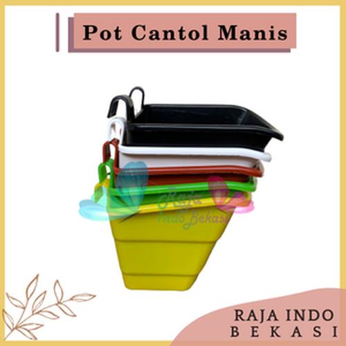 Jual POT DINDING TEMPEL CANTOL MANIS PUTIH HITAM - POT DINDING TEMPEL ...
