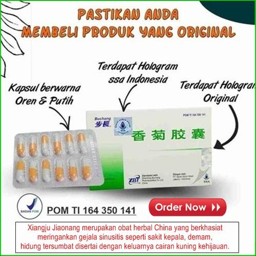 Promo obat sinusitis hidung tersumbat menahun herbal cina xiangju jiaonang - Jakarta Selatan ...