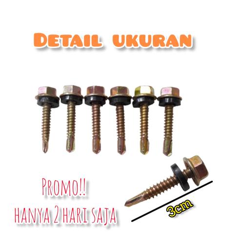 Jual Roofing Baja Ringan 12x30 Baut Baud Skrup Sekrup 12 x 30 3cm ...