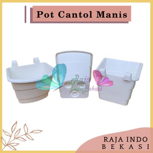 Jual POT DINDING TEMPEL CANTOL MANIS PUTIH - POT DINDING TEMPEL MINI ...