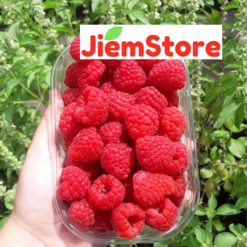 Jual Raspberry Fresh Rasberry Segar Rasberi Buah Berries - 170 gram ...