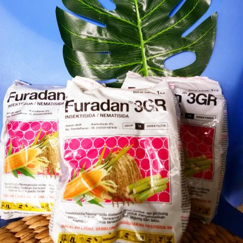 Jual Furadan 3GR 1KG Insektisida Nematisida Pengendali Hama Tanaman ...