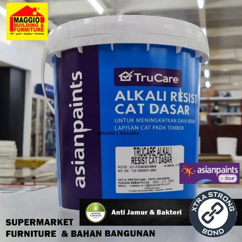 Jual CAT DASAR TEMBOK - CAT DASAR INTERIOR ALKALI PRIMER 4KG - ASIAN ...