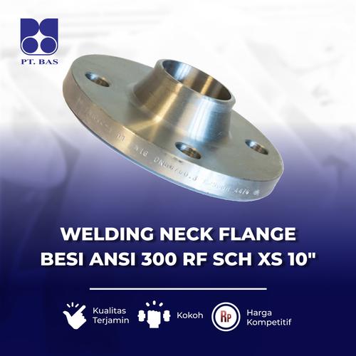 Jual WELDING NECK FLANGE BESI ANSI 300 RF SCH XS 10" - Rangka Raya ...