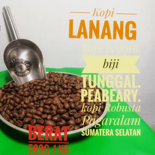 Jual Kopi Lanang, Peabeary, biji Tunggal Fine Robusta Pagaralam 1kg ...