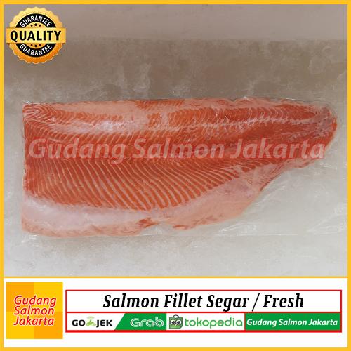 Jual Fillet Salmon -Fillet Segar Fresh 1 kg (bisa untuk mpasi atau ...