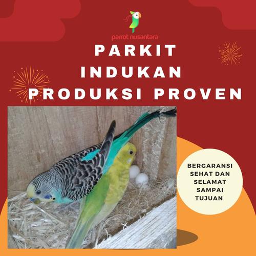Jual parkit indukan sudah produksi proven - Kota Bekasi - parrot ...