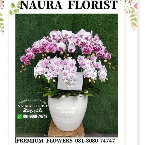 Jual Bunga anggrek/rangkaian anggrek/anggrek bulan/bunga asli/premium ...