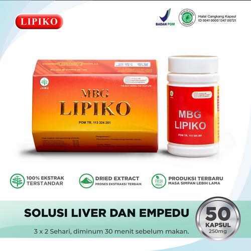 Jual ESBI OBAT LIVER HEPATITIS HERBAL LEMAK DARAH LIPIKO - Jakarta ...