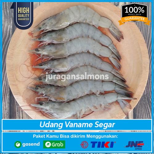 Jual Udang Vaname Segar - Udang Tambak Fresh - Udang Vannamei Besar ...