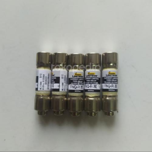 Jual FNQ-R-30 10x38 30A 600V Time Delay Fuse FNQ-R-30 Original Bussmann ...