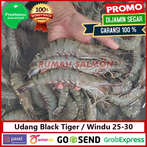 Jual Udang Tiger|Black tiger prawn JUMBO / Udang Windu Pancet size 25 ...