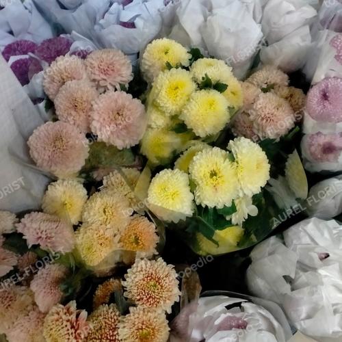 Jual Bunga Gompi / bunga segar /bunga tangkai - Putih - Jakarta Barat ...