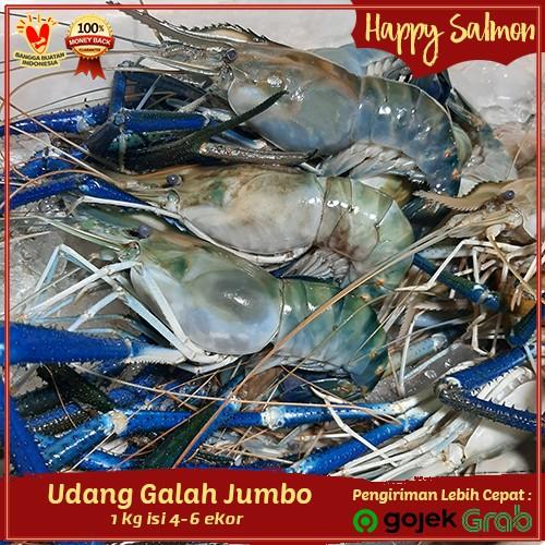 Jual Udang Galah Segar Jumbo Gede Segar/Fresh 1 kg isi 4-7 ekor ...