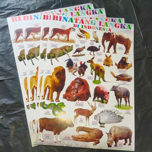 Jual poster hewan di Indonesia/poster binatang/poster dinding - Kab ...