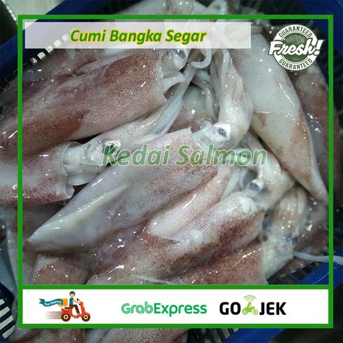 Jual Cumi Bangka Segar Besar 1kg/Cumi Bangka Fresh/Cumi Besar/Cumi ...