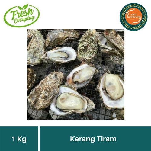 Jual Kerang Tiram Seafood Kerang Oyster Segar 1kg - Kota Bandung ...