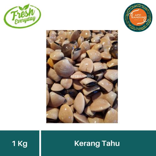 Jual Kerang Tahu 1kg atau 500gr Kerang Kepah Kepa Fresh - 500gr - Kota ...