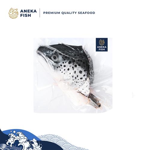 Jual FROZEN KEPALA SALMON 1 PCS - 400 GR/PACK - Jakarta Utara - Aneka ...