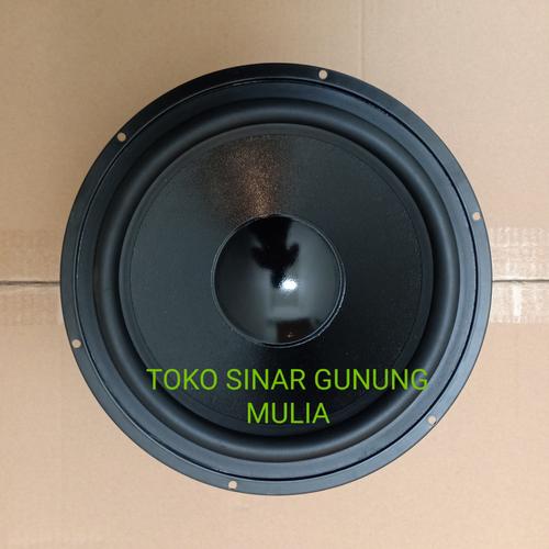 Jual SPEAKER WOOFER / SPIKER WOFER 10 INCH ELSOUND - Jakarta Barat ...