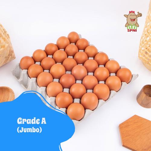Jual Telur Ayam SPNI Jumbo (Grade A) - Kota Medan - Telur SPNI | Tokopedia