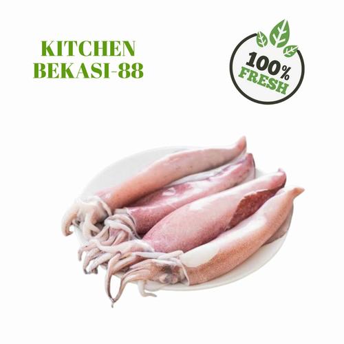 Jual cumi segar 500 gram seafood - ukuran sedang, 1kg - Kota Bekasi ...