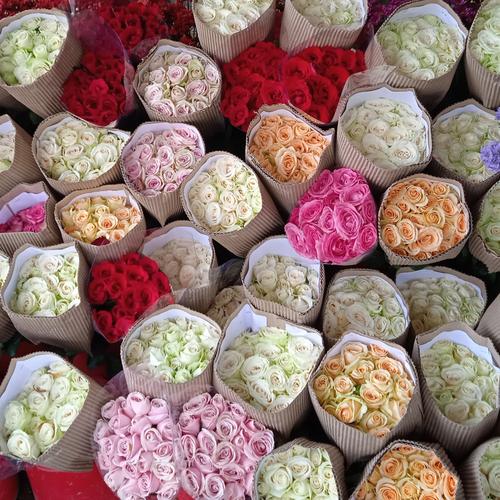 Jual bunga mawar per iket isi 20 tangkai, bunga potong /bunga asli ...