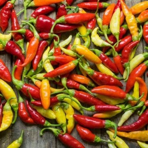 Jual Cabe/Cabai/Lombok rawit Merah Fresh - 1 kg - Kota Surabaya ...