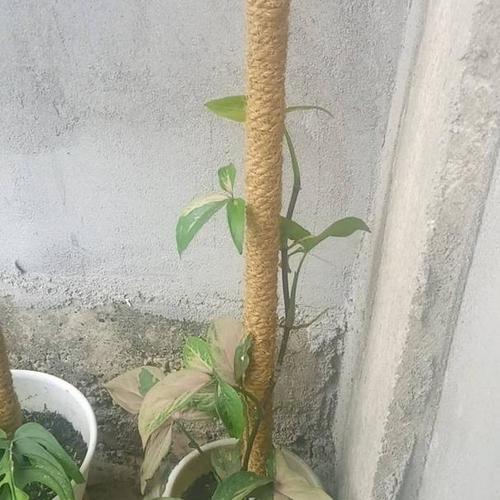 Jual Turus ulir / tiang penyangga tanaman rambat 30cm s/d 100 cm - 30 ...
