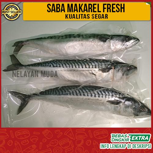 Jual Ikan Saba Makarel Fresh/Makarel Segar/Ikan Saba Segar 1kg 2 Ekor ...