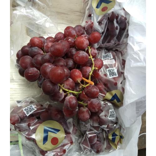 Jual buah anggur red globe grapes australia per 1kg - 500gr - Jakarta ...