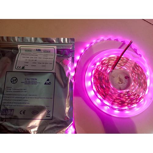 Jual Led strip 12V ip33 5050 5 Meter 60 Led Pink / Merah Muda - Jakarta ...