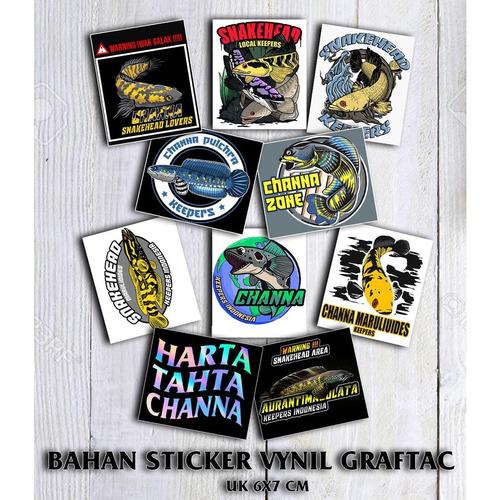 Jual BEST STICKER CHANNA STICKER IKAN CHANA STICKER AQUARIUM IKAN ...