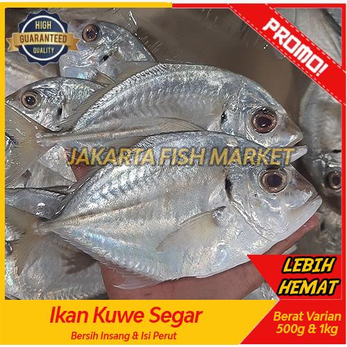 Jual Ikan Kuwe Segar - Ikan Kuwe Fresh 1kg 3-4 Ekor - Ikan Segar Fresh ...