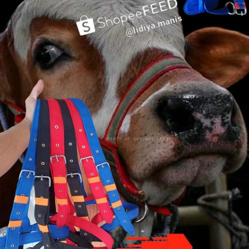 Jual BRANGUS SAPI HEAD HALTER / IKAT KEPALA SAPI. BRANGOS PRODUK ...