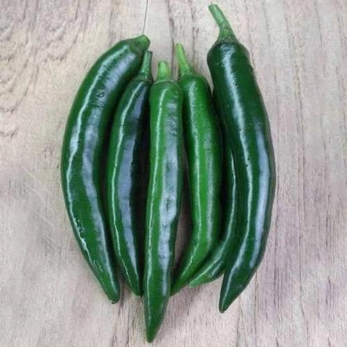 Jual Cabe/Cabai/Lombok Hijau Besar Fresh - 1 kg - Kota Surabaya - BOGA ...
