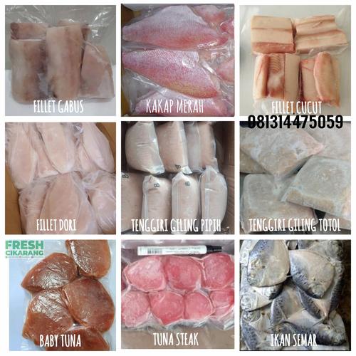 Jual Aneka Ikan Laut Dori Cucut Tenggiri Kakap Murah Frozen Food ...