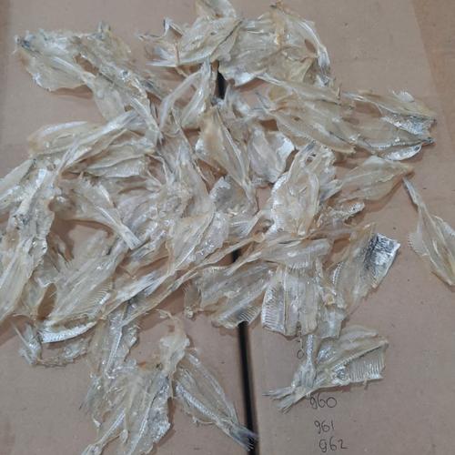 Jual Ikan asin pakang tawar / kripik ikan / krupuk ikan 500gram - Kota ...